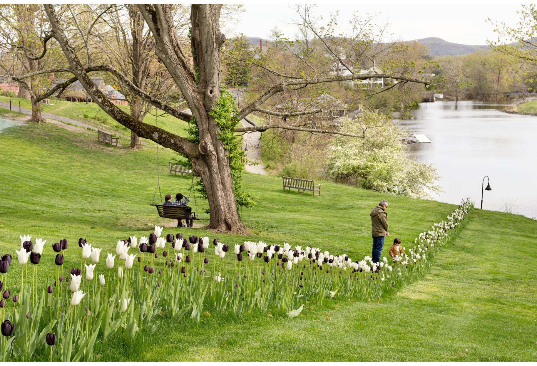 SCHEMA 2021–2022 The Year in Review | Smith College Museum of Art